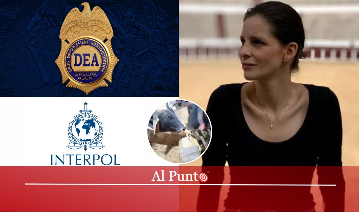 ¡Tiembla más de uno por narcovacas! Senadora pidió ayuda de la DEA e ...